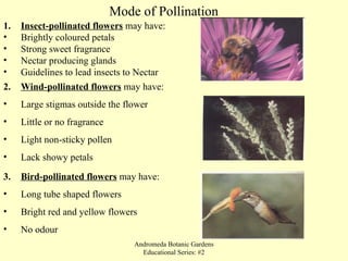 Structure and Function of the Flower PowerPoint.ppt