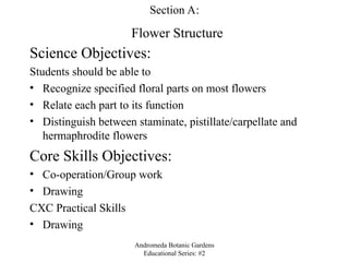 Structure and Function of the Flower PowerPoint.ppt