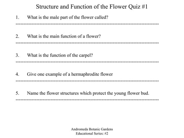 Structure and Function of the Flower PowerPoint.ppt