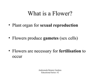 Structure and Function of the Flower PowerPoint.ppt