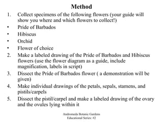 Structure and Function of the Flower PowerPoint.ppt