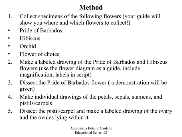 Structure and Function of the Flower PowerPoint.ppt