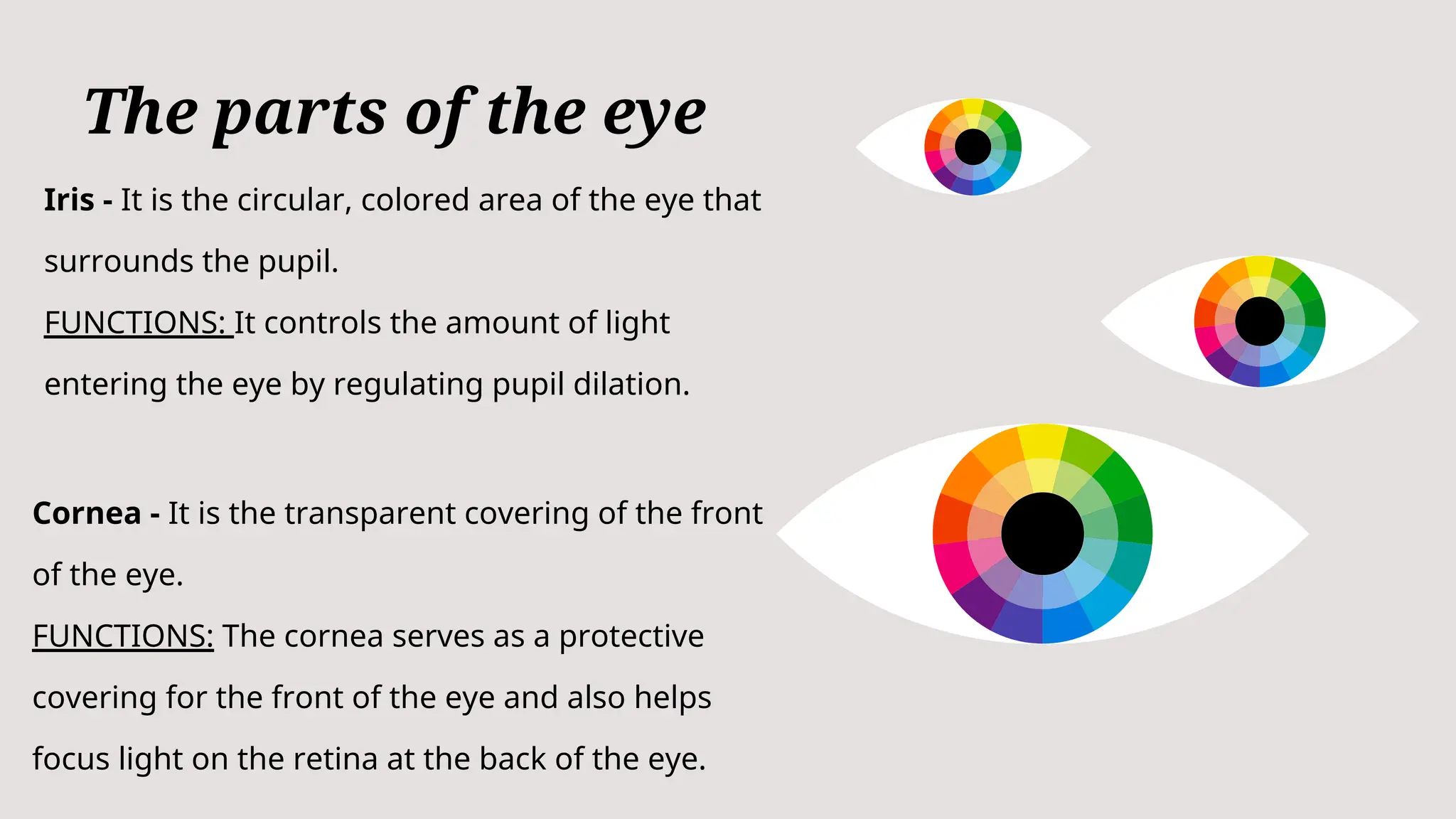 Structure and function of the human eye.pdf