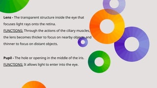 Structure and function of the human eye.pdf