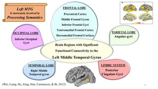 Structure and function of the left temporal lobe | PPT
