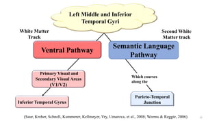 Structure and function of the left temporal lobe | PPT