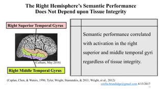 Structure and function of the left temporal lobe | PPT