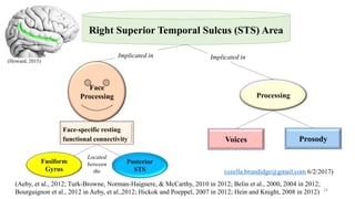 Structure and function of the left temporal lobe | PPT
