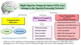 Structure and function of the left temporal lobe | PPT