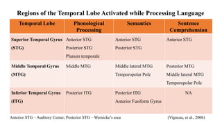 Structure and function of the left temporal lobe | PPT