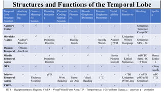 Structure and function of the left temporal lobe | PPT