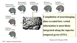 Structure and function of the left temporal lobe | PPT