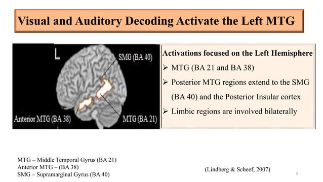 Structure and function of the left temporal lobe | PPT