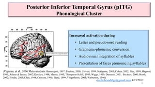 Inferior Temporal Gyrus