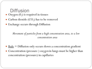 Structure and function of the lungs | PPT