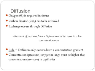 Structure and function of the lungs | PPT