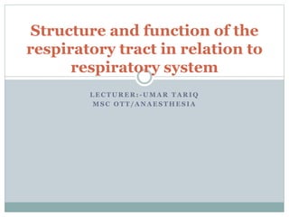 Structure and function of the respiratory tract in | PPT