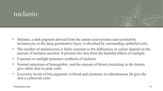 Structure and functions of the skin.pptx