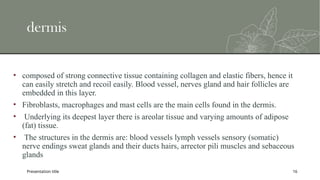 Structure and functions of the skin.pptx