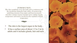 Structure and functions of the skin.pptx