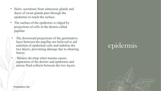 Structure and functions of the skin.pptx