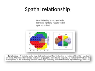 Structure and function relationship in glaucoma Vapi meet Dr Manan.pptx