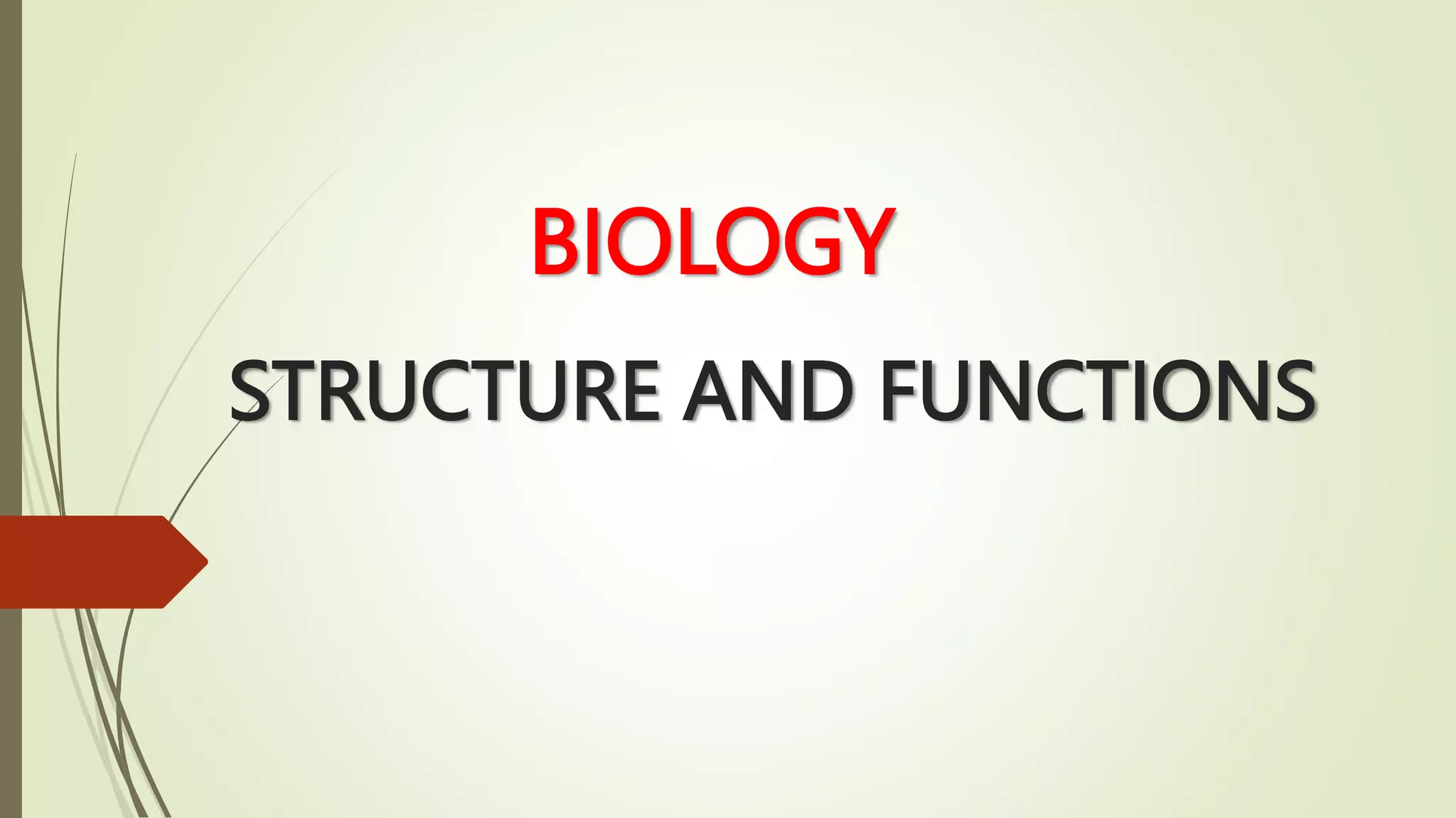 STRUCTURE AND FUNCTIONS.pptx