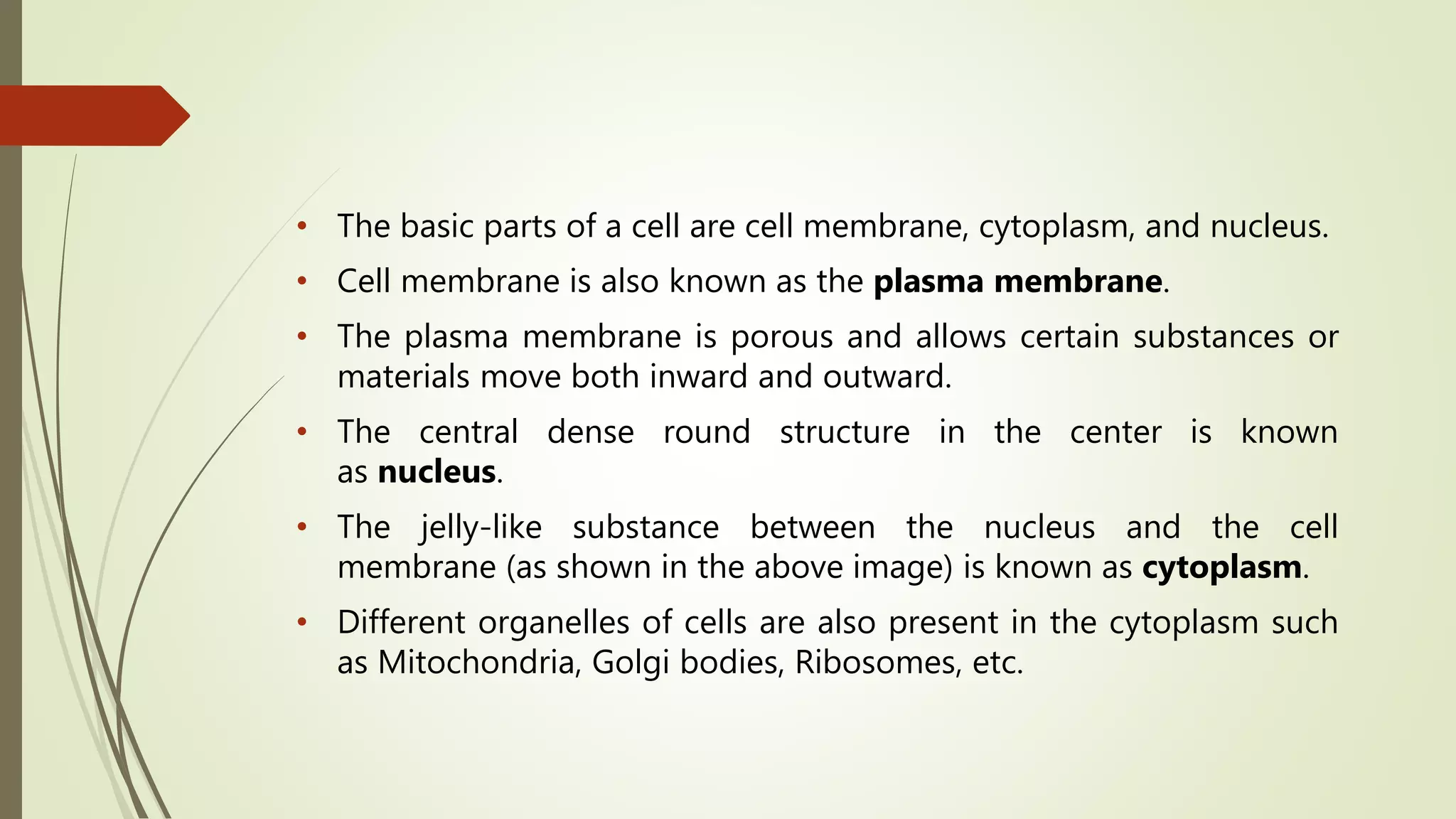 STRUCTURE AND FUNCTIONS.pptx