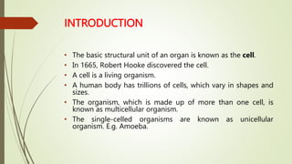 STRUCTURE AND FUNCTIONS.pptx