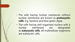 STRUCTURE AND FUNCTIONS.pptx