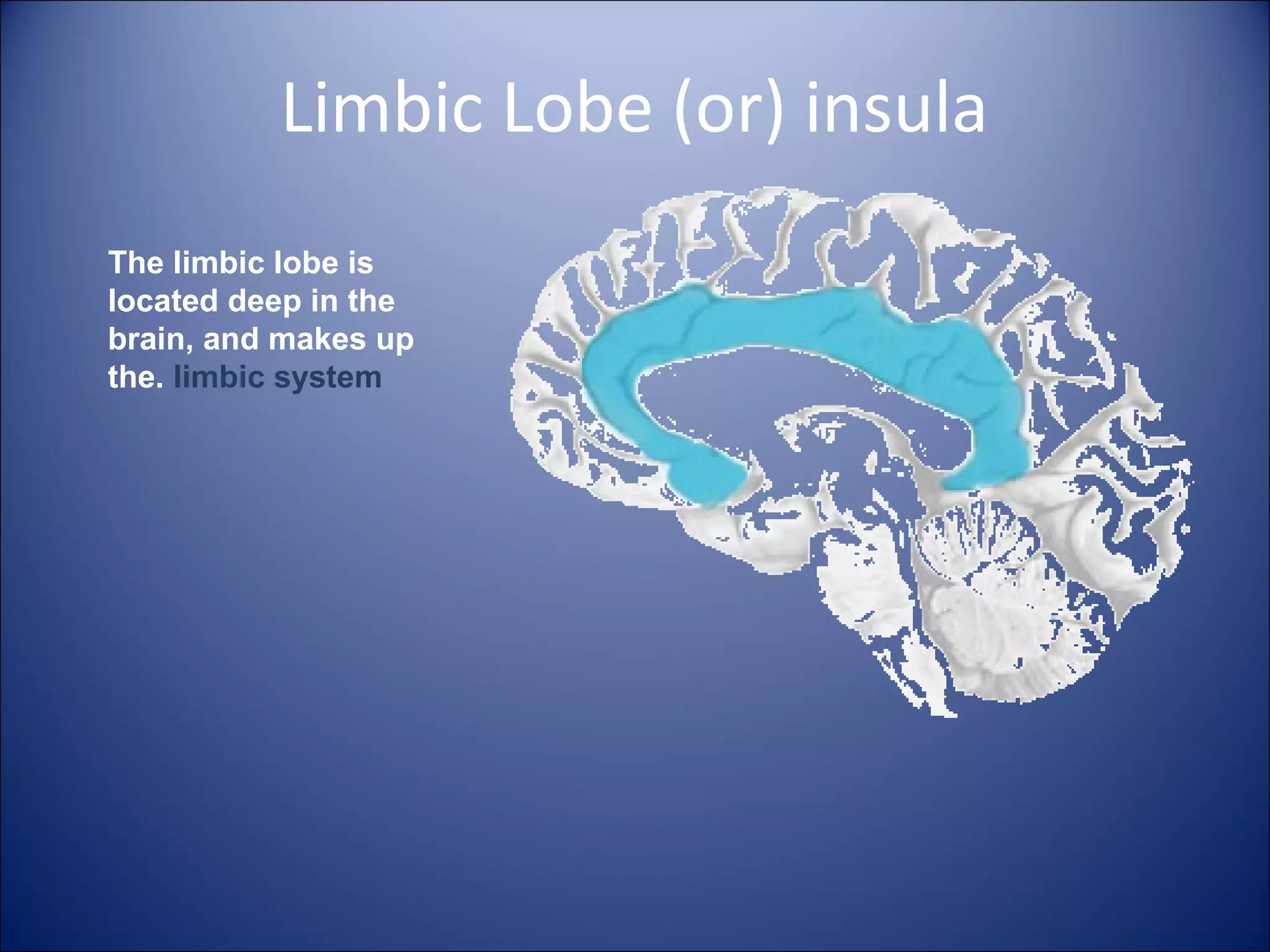 Structure and functions of brain | PPT