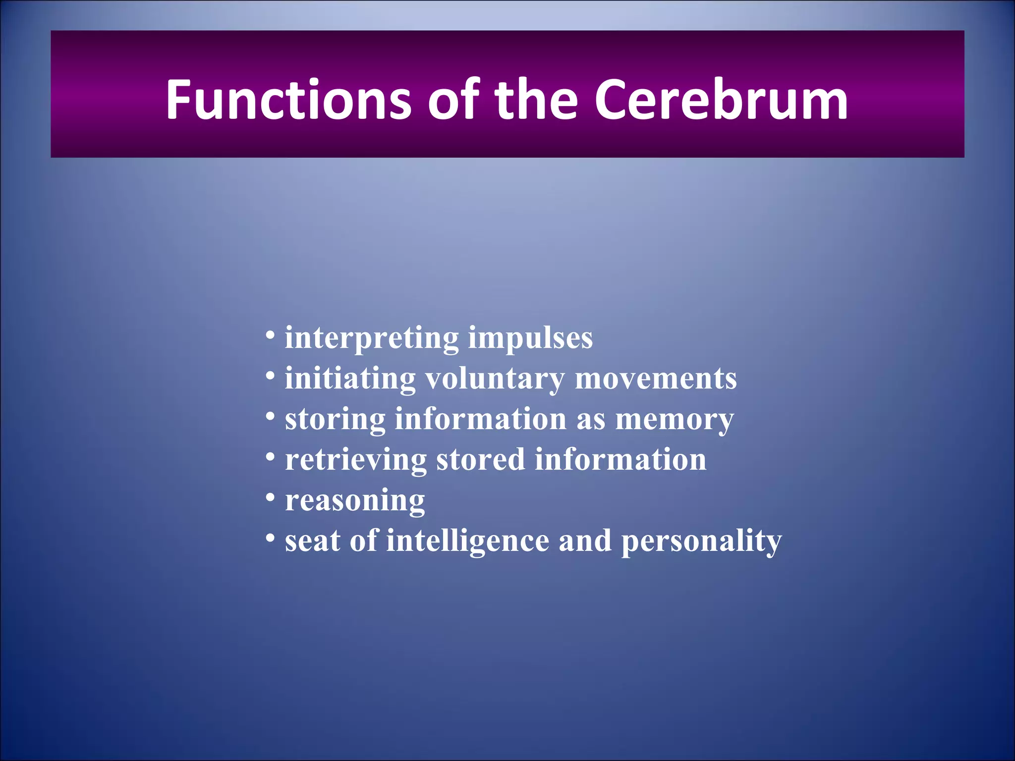 Structure and functions of brain | PPT | Brain and Nervous System ...