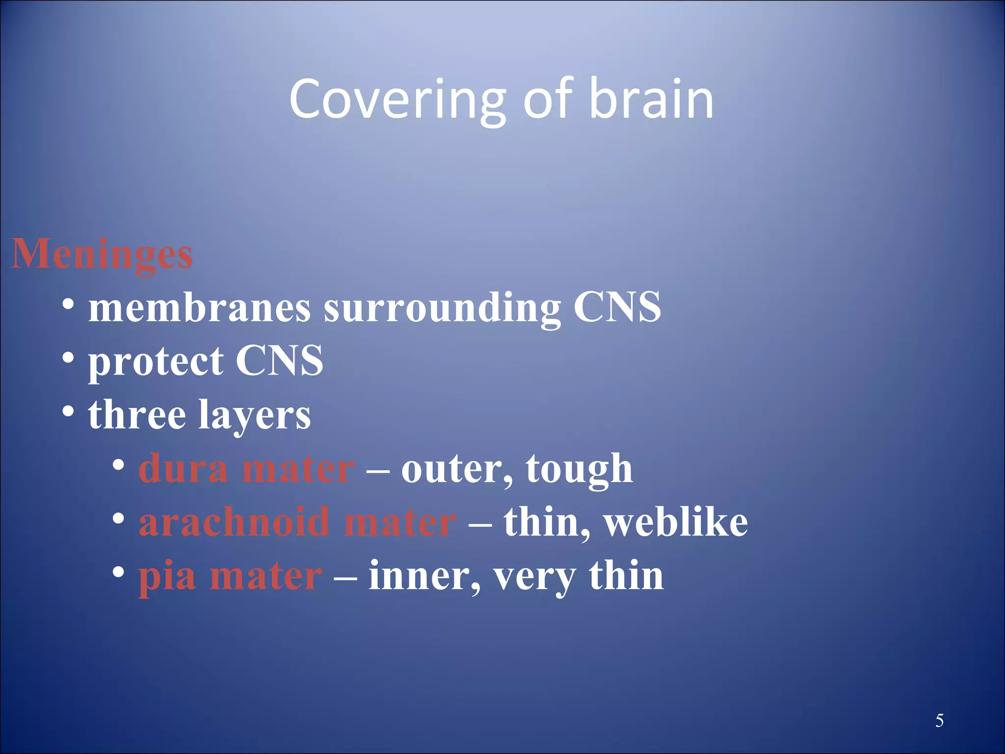 Structure and functions of brain | PPT