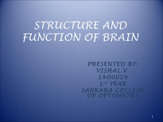 Structure and functions of brain | PPT