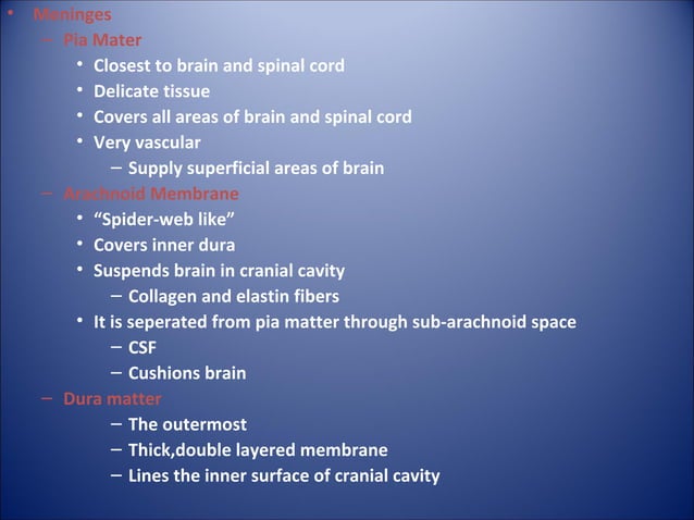 Structure and functions of brain | PPT | Brain and Nervous System ...