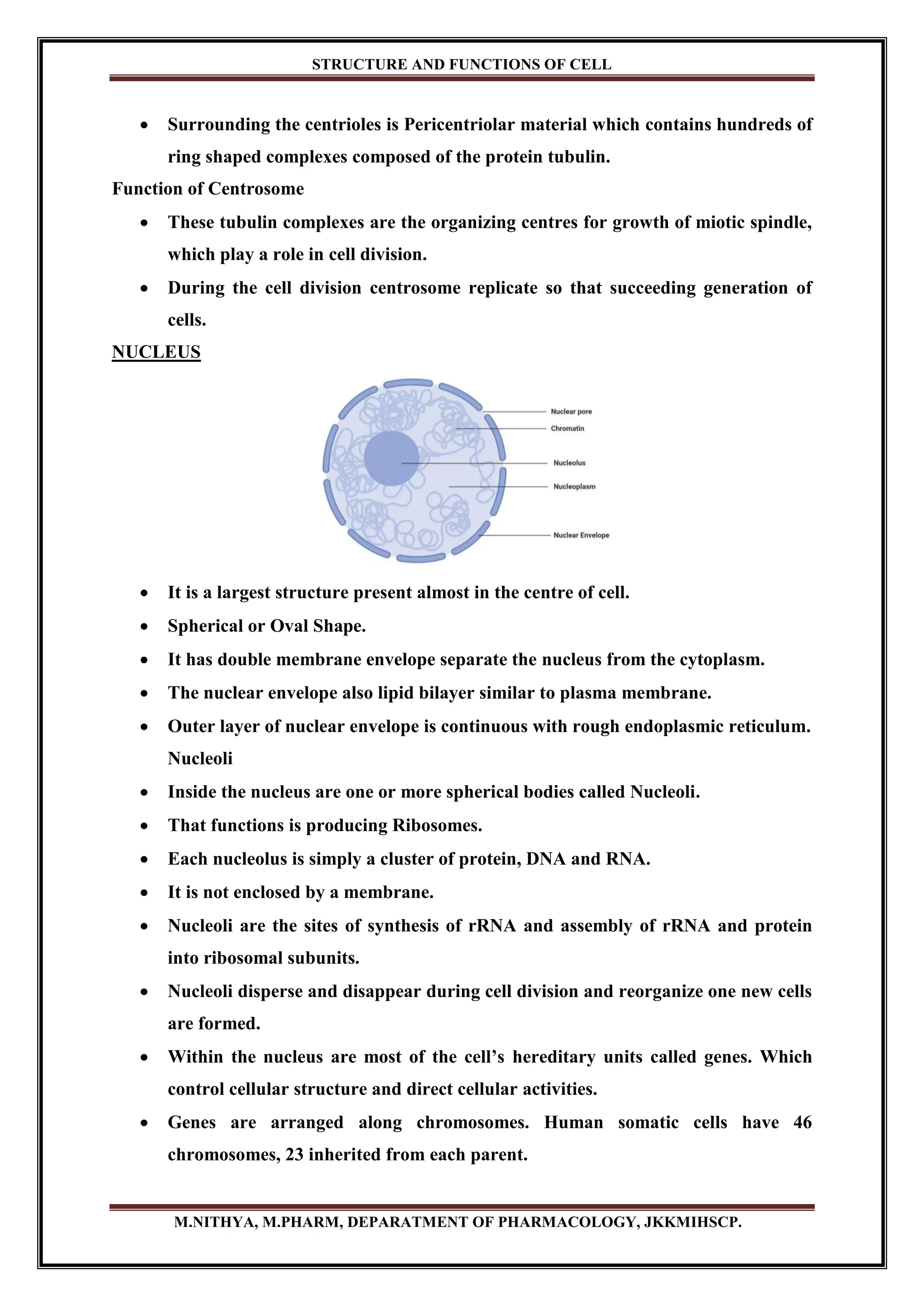 Structure and Functions of Cell.pdf