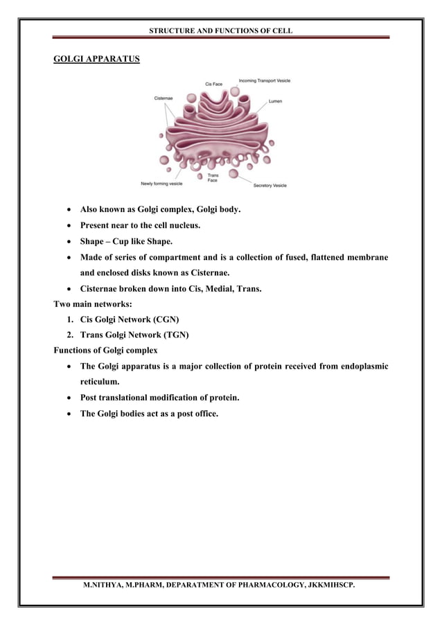 Structure and Functions of Cell.pdf | Biological Sciences | Science