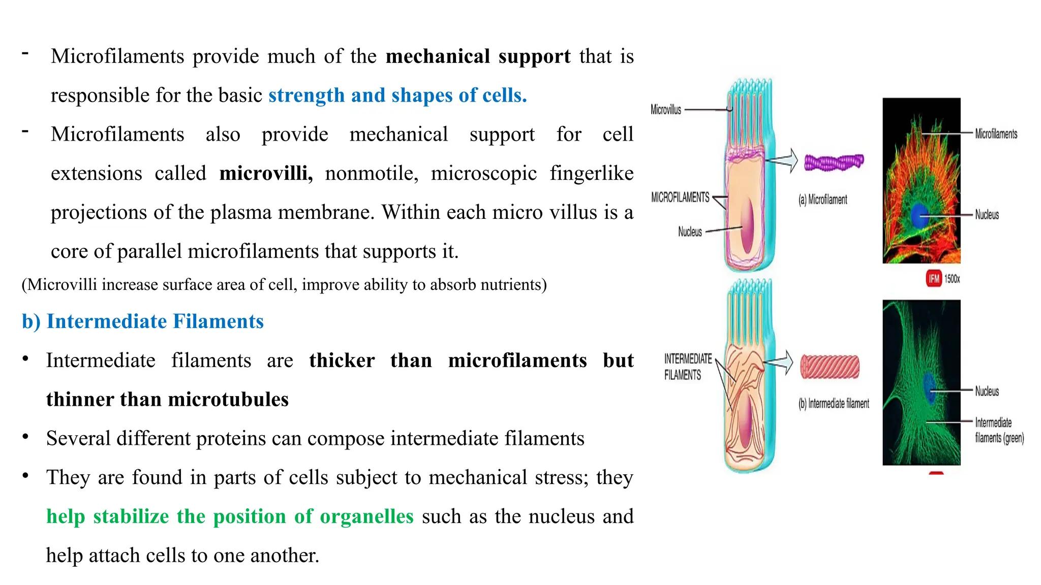 Structure and Functions of Cell (Unit I) | PPTX