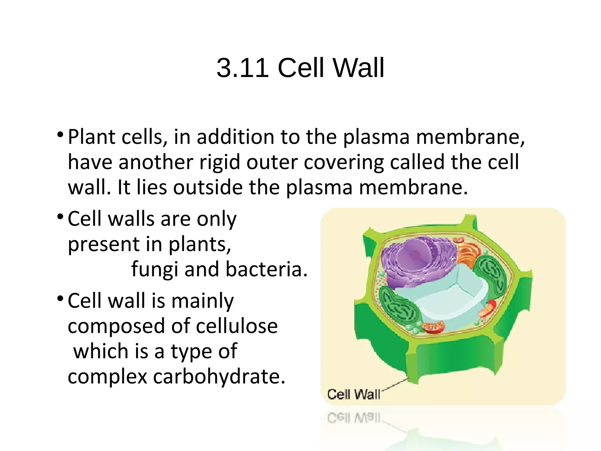 Structure and functions of cell organelles | PPT
