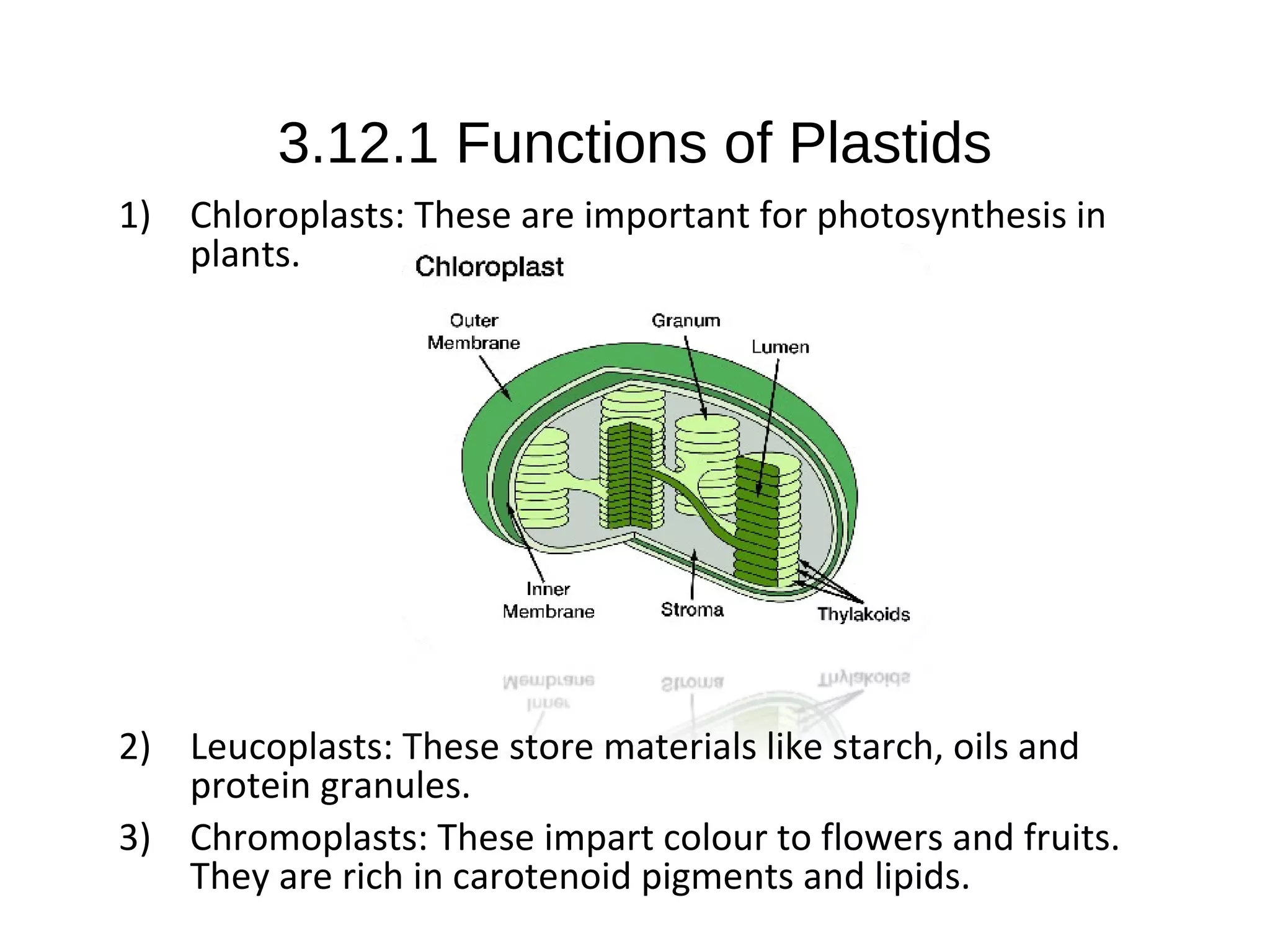 Structure and functions of cell organelles | PPT
