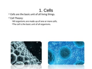 Structure and functions of cell organelles | PPT