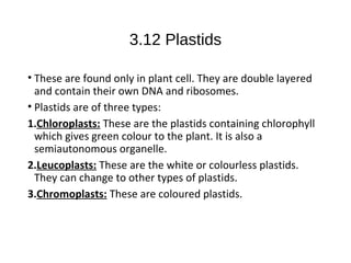 Structure and functions of cell organelles | PPT