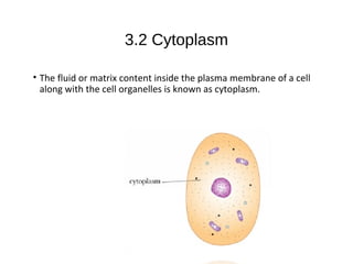 Structure and functions of cell organelles | PPT