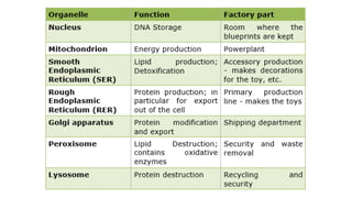 Structure and functions of cell organelles.pptx