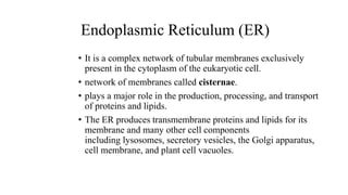Structure and functions of cell organelles.pptx