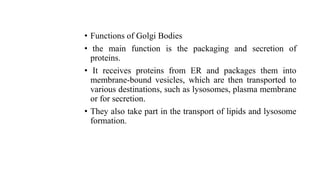 Structure and functions of cell organelles.pptx