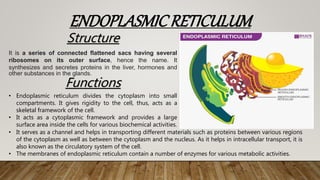 Structure and Functions of Different Organelles.pptx | Biological ...