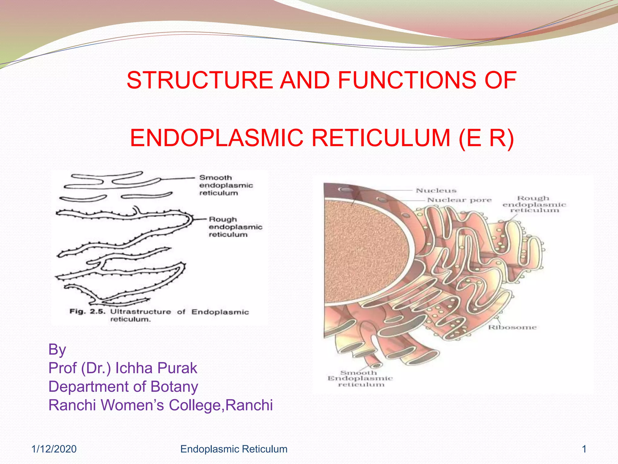 Structure and functions of endoplasmic reticulum | PPTX