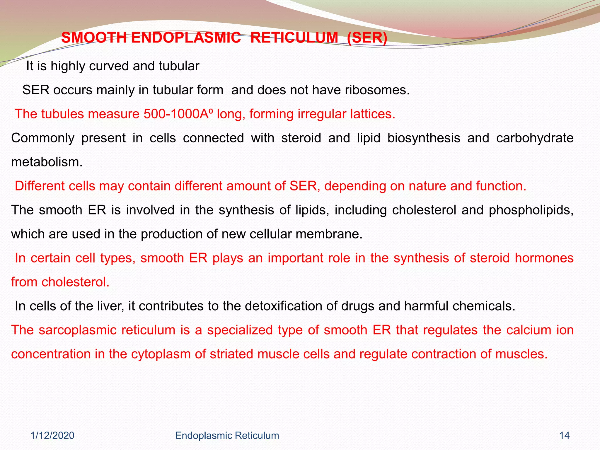 Structure and functions of endoplasmic reticulum | PPTX