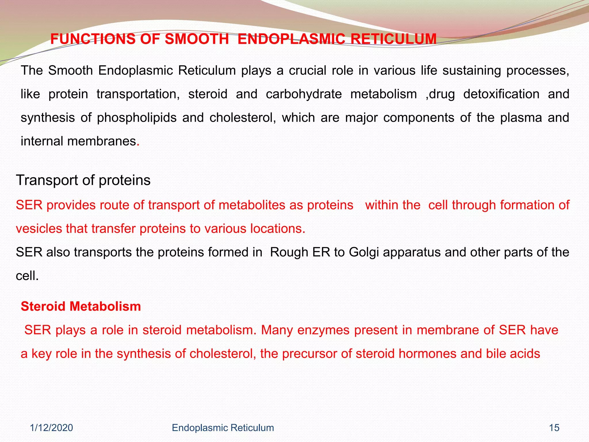 Structure and functions of endoplasmic reticulum | PPTX